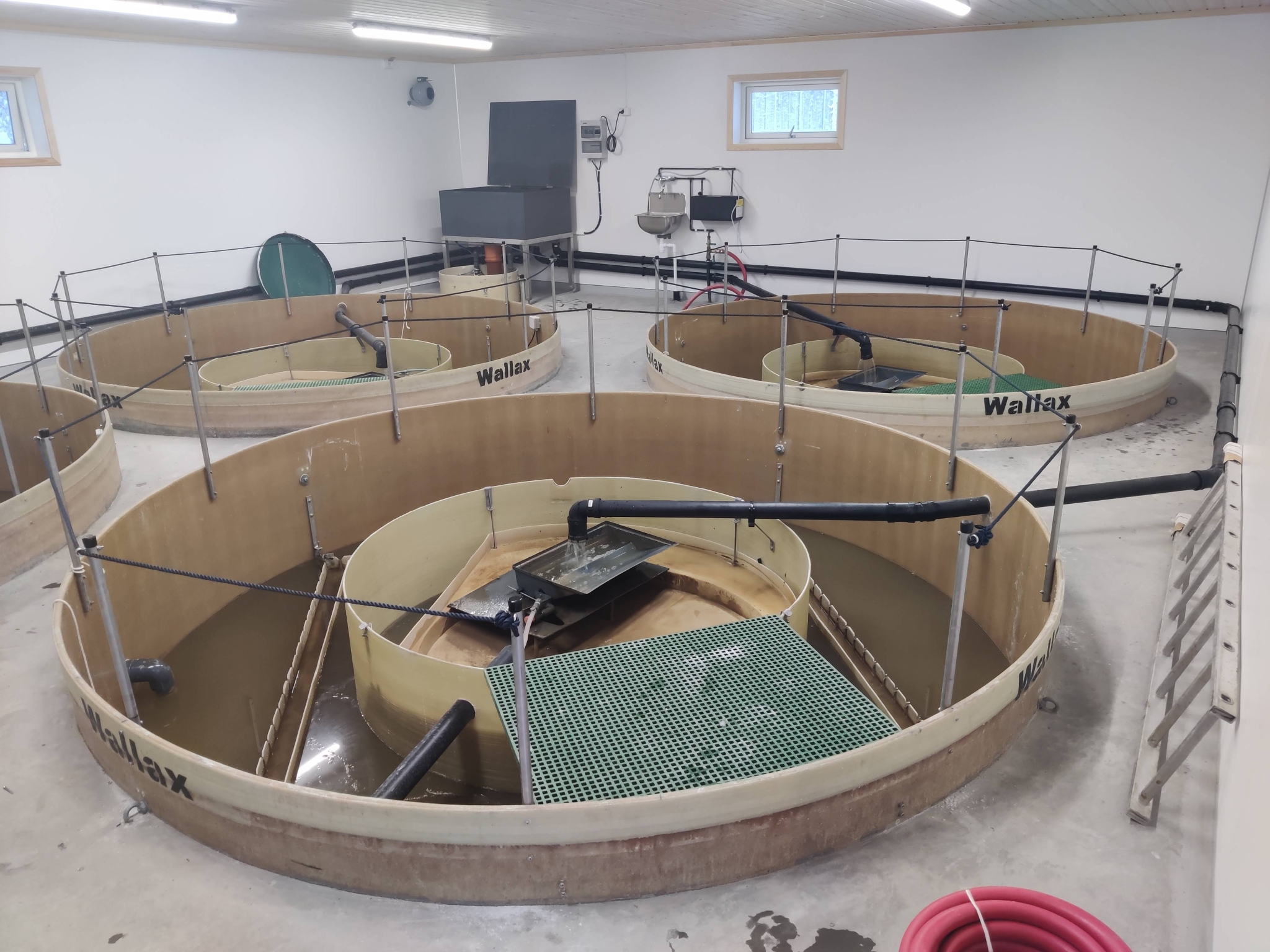 Wallax store renseanlegg - Wallax